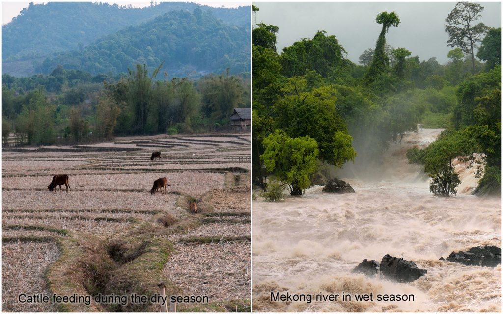 Laos Weather: Climate, Temperature, Tips for Traveller
